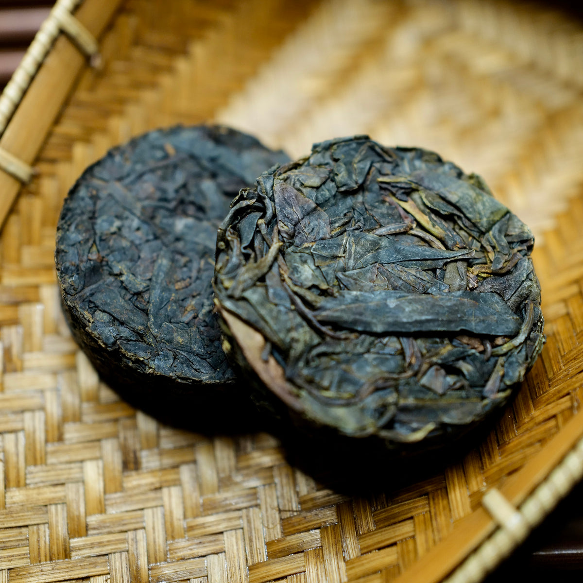 2021 Baiying Mountain Wild Gushu Puerh Tea 白鶯山野生古樹普洱茶 – SCAFTEA